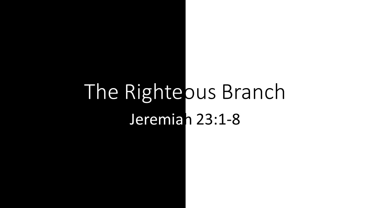 The Righteous Branch – Evergreen Baptist Church